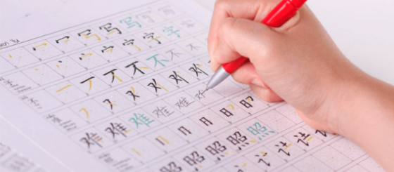 All You Need to Know About Higher Chinese Language (HCL)